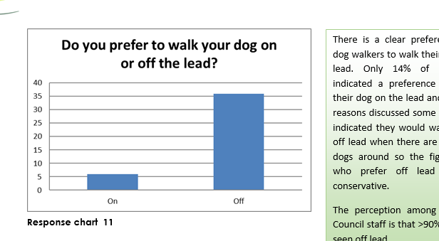 Dog Walking 2 - EcoEireann